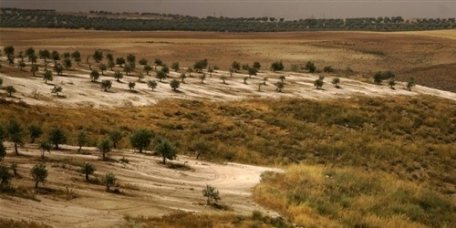 EspagneDesertification - Phil info
